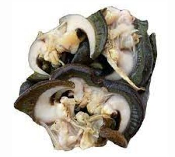 Fresh Snail – Shy Superstore